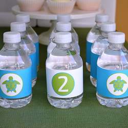 Sea Turtle / Birthday "Kessler's 2nd Birthday Party" | Catch My Party