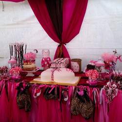 Pink/Cheetah / Baby Shower "Cheetah Baby Shower" | Catch My Party