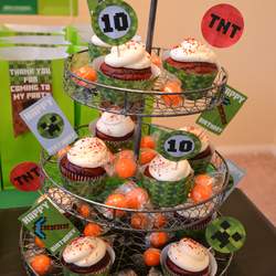 Minecraft / Birthday "Sean's Minecraft 10th Birthday" | Catch My Party