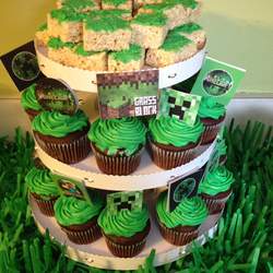 Minecraft / Birthday "11th Birthday Party" | Catch My Party