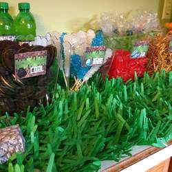 Minecraft / Birthday "11th Birthday Party" | Catch My Party