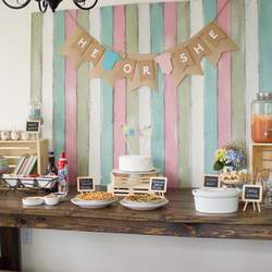 Gender Reveal "Rustic Gender Reveal" | Catch My Party