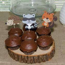 Woodland Animals / Birthday "Eli's 1st Birthday Party" | Catch My Party