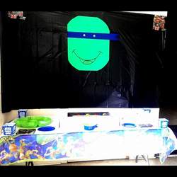 Ninja Turtle- TMNT / Birthday "Birthday/Pool Party" | Catch My Party