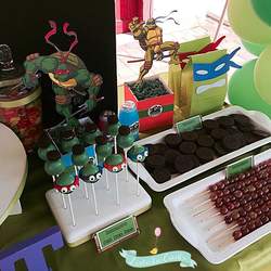 Teenage Mutant Ninja Turtles / Birthday "TMNT Birthday Bash!" | Catch ...