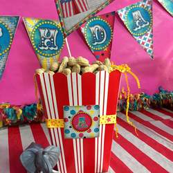 Circus / Carnival / Birthday "Adriana's Carnival Pool Party" | Catch My ...