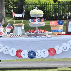 Patriotic / 4th of July "Patriotic Picnic!!" | Catch My Party