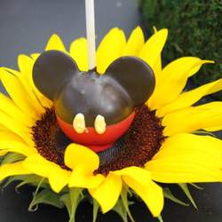 Mickey Mouse / Minnie Mouse / Birthday "Ella’s Minnie & Mickey ...