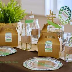 Crocodile, Alligator / Birthday "Crocodile 4th Birthday Party" | Catch ...