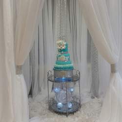 Flowers & Butterflies / Quinceañera "Sweet 15th " | Catch My Party