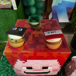 Minecraft / Birthday "Minecraft" | Catch My Party