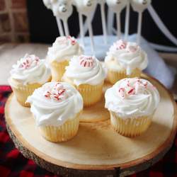 Winter / Christmas/Holiday "Boxing Day Winter Bash" | Catch My Party