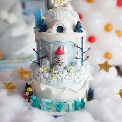 Winter / Birthday "Hello cold days!" | Catch My Party