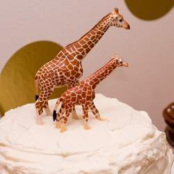 Giraffes / Birthday "Evi's Chic Giraffe Party" | Catch My Party