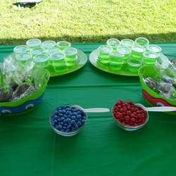 Teenage Mutant Ninja Turtles / Birthday "Ninja Turtle Pizza Party ...