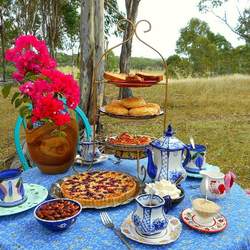 Tea Party / Tea Party "Relaxed Country Backyard Tea Party" | Catch My Party