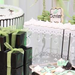 Lymphoma awareness / Fundraiser "Betsy beat cancer" | Catch My Party