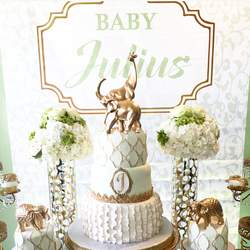Zafary / Baby Shower "Glam Safary baby shower " | Catch My Party