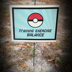 Pokemon / Birthday "Pokemon Safari Training Camp" | Catch My Party