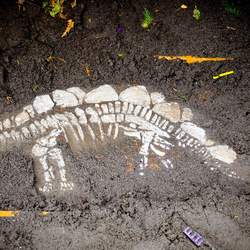 Dinosaur, Fossils / Birthday "Grady's 4th DINO DIG Birthday" | Catch My ...