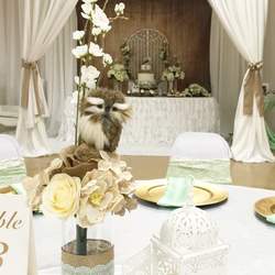 Owls/rustic / Baby Shower "Rustic Owls Baby Shower" | Catch My Party