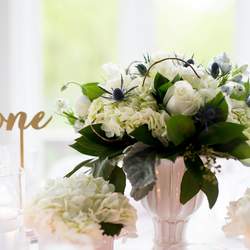 Bunnies / Rabbits / Baby Shower "Twin Bunny Baby Shower" | Catch My Party