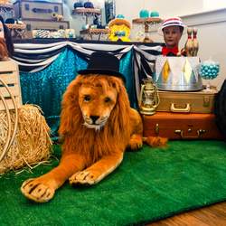 Vintage Circus / Graduation/End of School "Bryana The Incredible ...