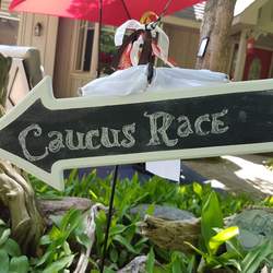 Alice in Wonderland/Mad Hatter's Tea/Cocktail Party / Birthday "Alice ...