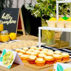 Lemonade / Lemons / Fundraiser "Jack's Lemonade Stand Fundraiser ...