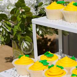 Lemonade / Lemons / Fundraiser "Jack's Lemonade Stand Fundraiser ...