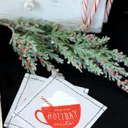 Hot Cocoa / Christmas/Holiday "Rustic Hot Cocoa Bar" | Catch My Party