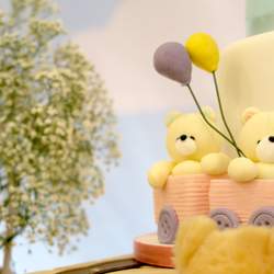 Beary Fun Theme / Birthday "Beary Fun 1st birthday party" | Catch My Party