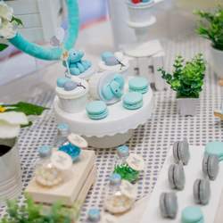 Elephant Theme / Birthday "Elephant themed 1st birthday party" | Catch ...