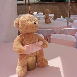 Bears / Baby Shower "Crystal's Beary Pink Shower " | Catch My Party