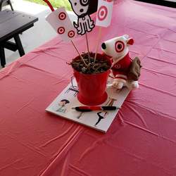 Target Store / Birthday "Target Birthday Party! " | Catch My Party