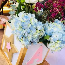 Twinkle twinkle little star / Baby Shower "Alyssa’s Twinkle Twinkle ...