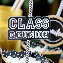 Reunion / Class Reunion "Reunited! Class of 1998" | Catch My Party