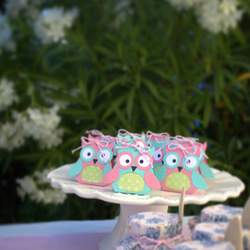 Owl themed Birthday / Birthday "Owl themed Birthday" | Catch My Party