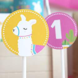 Llama / Birthday "Llama Party" | Catch My Party