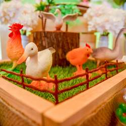 Barnyard Fun / Birthday "Barnyard Fun" | Catch My Party