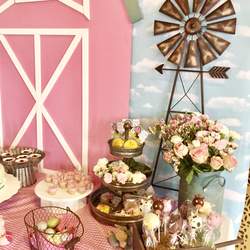 Farm / Baby Shower "Farm Girl Birthday Party" | Catch My Party
