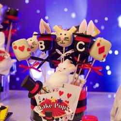 Magician / Birthday "Welcome to the magic show" | Catch My Party