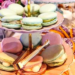 Mermaid, Under-the-Sea / Birthday "Kaylee's 1st Birthday Shellabration ...