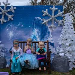 Frozen (Disney) / Birthday "Four and Frozen" | Catch My Party