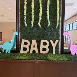 Dinosaur for girl / Baby Shower "Baby Saurus Shower" | Catch My Party