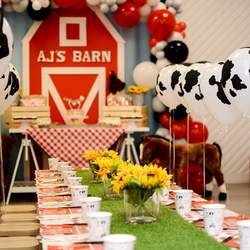 Barnyard/Farm / Birthday "Barnyard Bash!" | Catch My Party