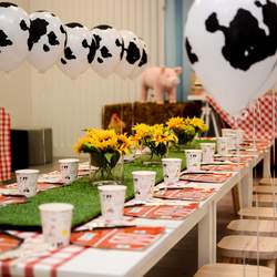Barnyard/Farm / Birthday "Barnyard Bash!" | Catch My Party
