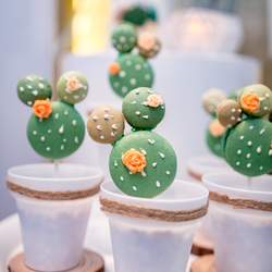 Cactus / Succulent Theme / Birthday "Cactus / Succulent Theme" | Catch ...