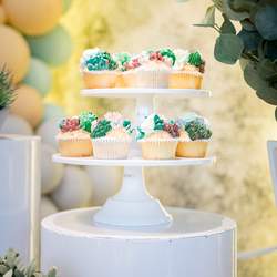 Cactus / Succulent Theme / Birthday "Cactus / Succulent Theme" | Catch ...