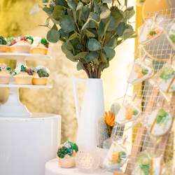 Cactus / Succulent Theme / Birthday "Cactus / Succulent Theme" | Catch ...